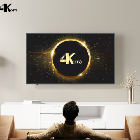 Newest Promax 4k Ott Server Iptv M3u List Hd Subscription 12 Months ...