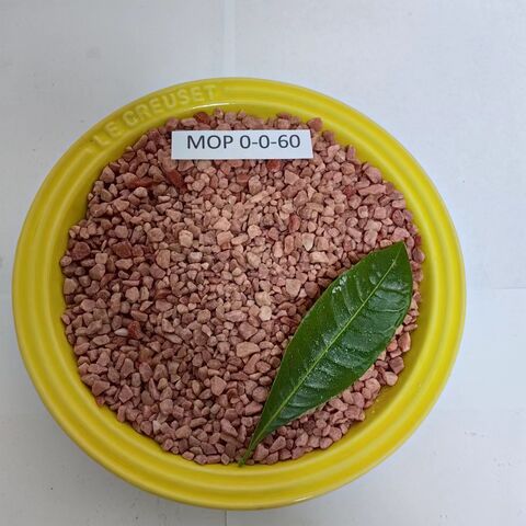 Red Potassium Chloride 99% Purity, Industrial Grade For Chemical & Food ...