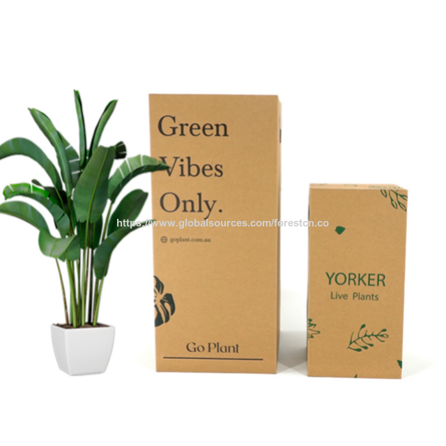 25h4si Personalized Packaging Boxes For Plant With Insert - Expore ...