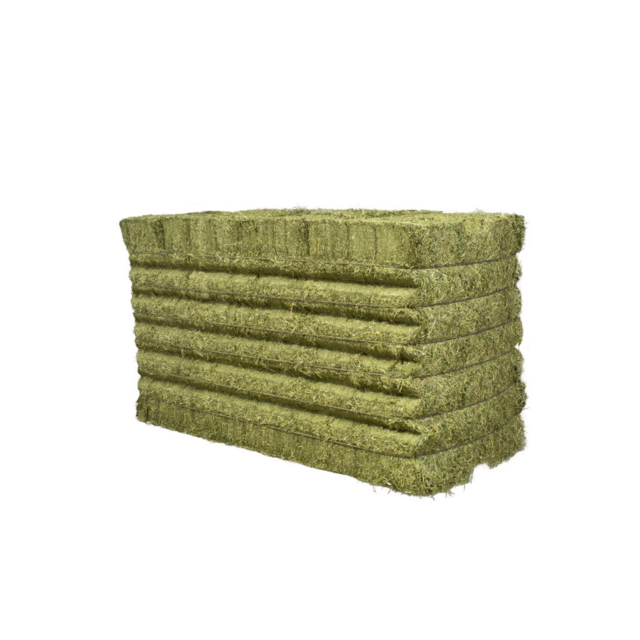 Bulk Alfalfa Hay Bales For Sale Affordable Price Premium Quality ...