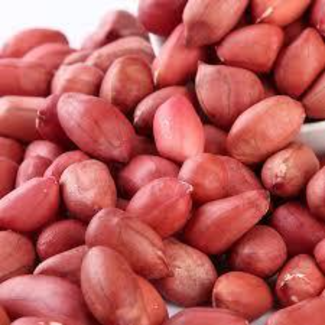 Peanuts / Groundnuts - Raw And Roasted | Bulk Export Available, Almonds ...