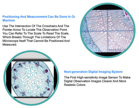 China Digital Microscope on Global Sources