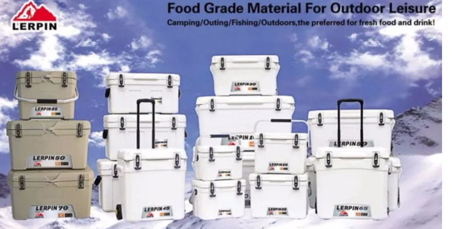 10L Mini Ice Cooler Box Small Plastic PE Insulated Cooling Box Picnic ...