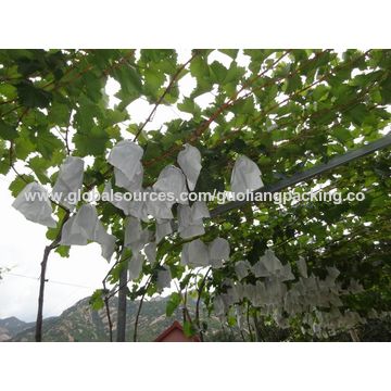 China Waterproof Kraft Paper Grape Bags, Fruit Sun Protection, Factory ...