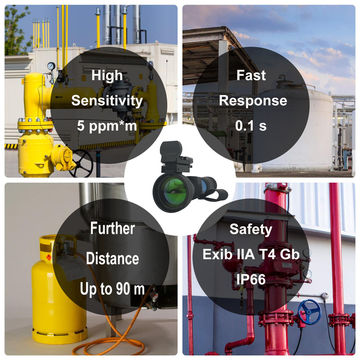 China L1 Handheld Multi-purpose Laser LPG/lNG/CNG Gas Methane Analyzer ...