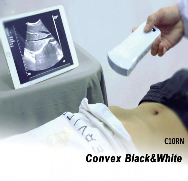 128 Elements Black & White Convex 3.5/5Mhz mini ultrasound Probe ...
