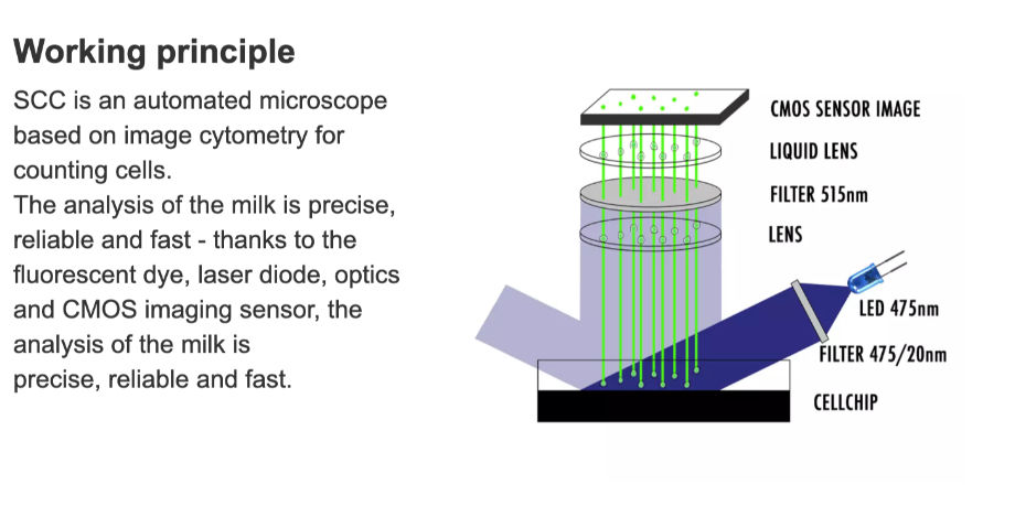 China SCCS-Low Magnification Microscope Auto Focus Cell Software SCC ...
