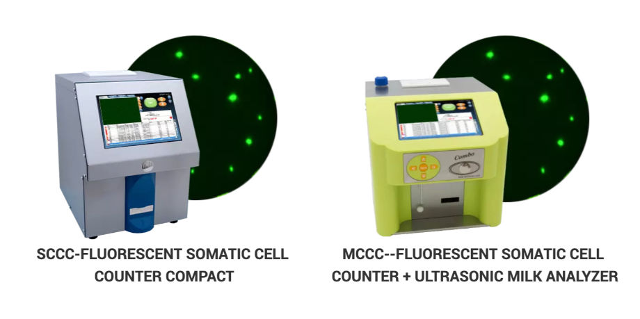 China SCCS-Low Magnification Microscope Auto Focus Cell Software SCC ...