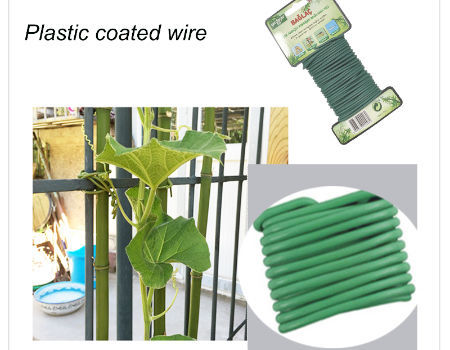 China Plant Twist Tie Plastic Wire Reel Plant Climbing Vines vegetable ...
