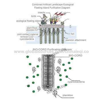 ChinaEcological Floating Island on Global Sources