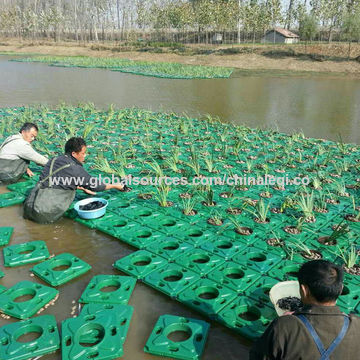 ChinaEcological Floating Island on Global Sources