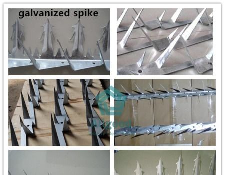 China Razor spikes fence,Anti climb Steel razor wall spike on Global ...