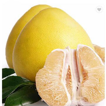 China New Crop Top Quality Frozen Fruit Fresh Yellow Red Honey Pomelo ...