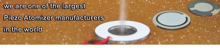 Piezoelectric Ultrasonic Atomizer Plate, Atomizer Piezoelectric ...