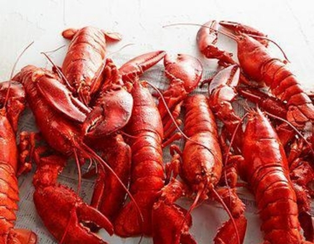 High Quality Alaska Lobsters Frozen King Crabs Legs & Frozen King Crabs ...