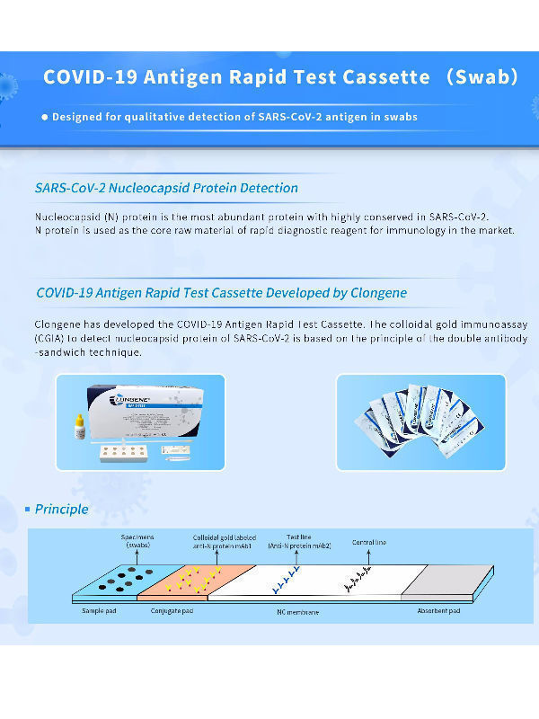 China Top quality Antigen Rapid Test Cassettes on Global Sources ...