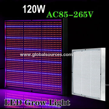 ChinaSMD LED lead frame on Global Sources