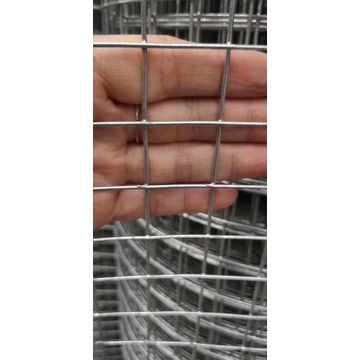 China 3/4 X 3/4 inch galvanized welded wire mesh panel chicken cage on ...