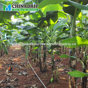 China Drip Irrigation System 1 Hectare Design Flat Dripper Agriculture ...
