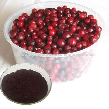 China Best price for lingonberry extract powder anthocyanidins 20% UV ...