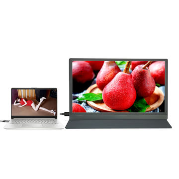 China The best portable monitor USB powered monitor of 2020 on Global ...