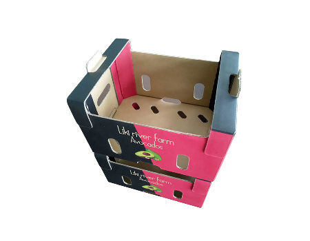 Avocado carton Eco Friendly Custom Logo Different Size Corrugated ...