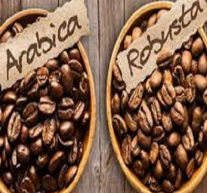 Coffee - HS Code 0901.11.00 | Global Sources