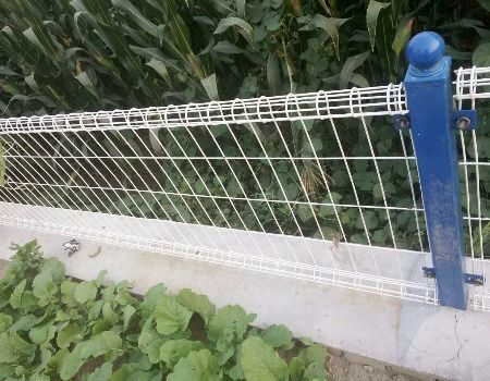 China 1.8m high v mesh security fencing, 3d welded wire mesh fence on ...