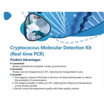 ChinaCryptococcal Capsular Polysaccharide Detection Kit(PCR ...