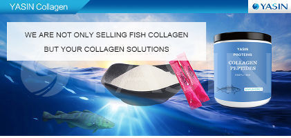 China Pure Tilapia Fish Collagen on Global Sources,fish collagen ...