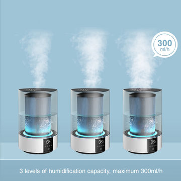 China Prism Premium Preserved Rose Flower Humidifier Aroma Diffuser ...