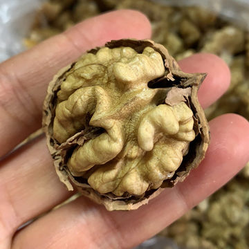 China Factory Supply Amber Walnut Quarter on Global Sources,walnuts ...
