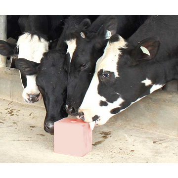 China NorthStar Scientific breeding Alkalescent Lick Block Cattle ...