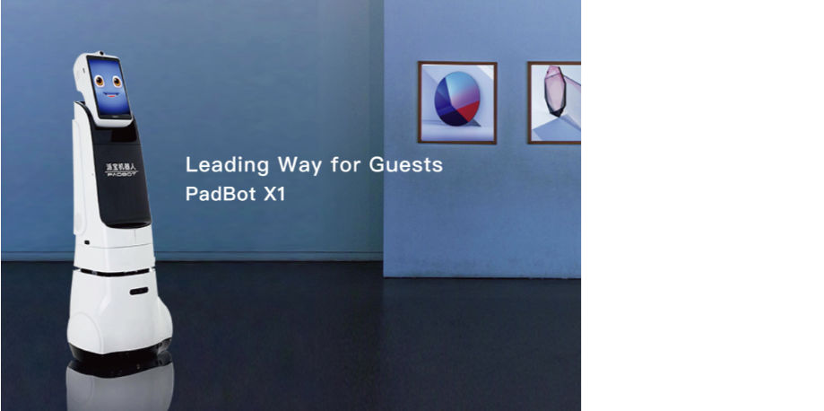 China PadBot X1s Temperature Measuring Service Robot on Global Sources ...