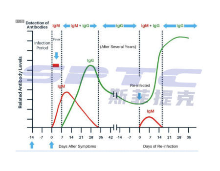 China Real Time lgG/lgM Antibody Rapid Test Kit on Global Sources,Test ...