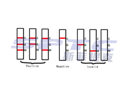 China Real Time lgG/lgM Antibody Rapid Test Kit on Global Sources,Test ...