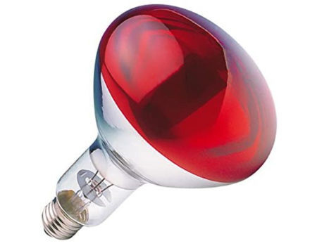 Infrared Red Heat Light Therapeutic Therapy Lamp Bulb Pain Relief Bulb ...