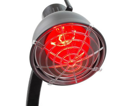 Infrared Red Heat Light Therapeutic Therapy Lamp Bulb Pain Relief Bulb ...