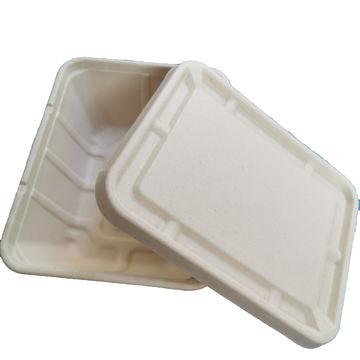 China Biodegradable Compostable Mold Pulp Vegetable Paper Tray Packing ...