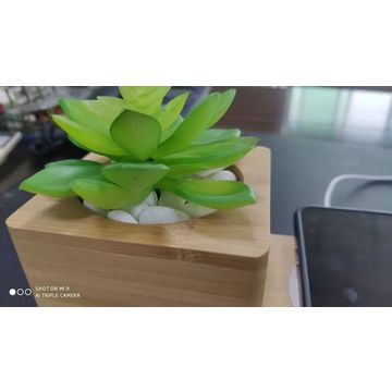 China 2021 Bamboo Flowerpot with wireless charger for phone office ...