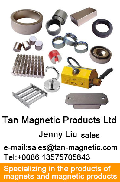 China Magnetic Motor Parts glued permanent magnets and metal body ...