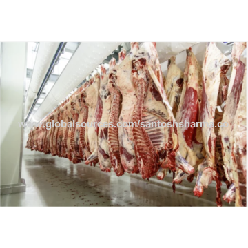 India Frozen Boneless Beef Striploin/ Frozen Beef Blade on Global ...