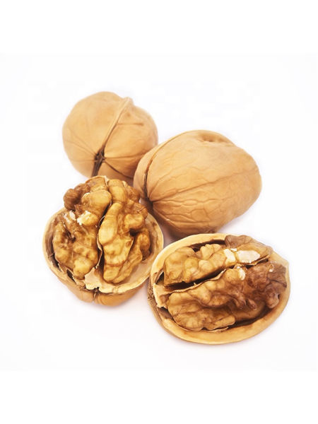 Factory price Big size 34mm+ delicious Chinese walnut in shell washed and unwashed, walnuts ...
