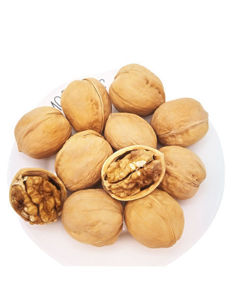 Factory price Big size 34mm+ delicious Chinese walnut in shell washed and unwashed, walnuts ...
