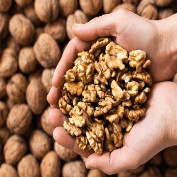 China Chinese Supplier Best Price Wholesale walnut export walnuts with ...