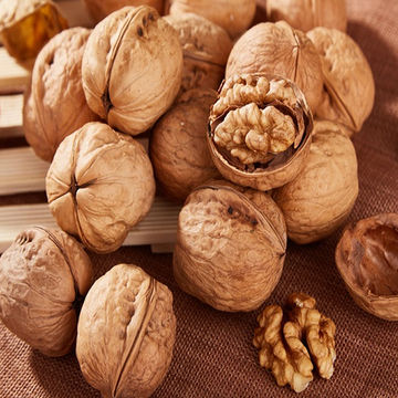 China Chinese Supplier Best Price Wholesale walnut export walnuts with ...