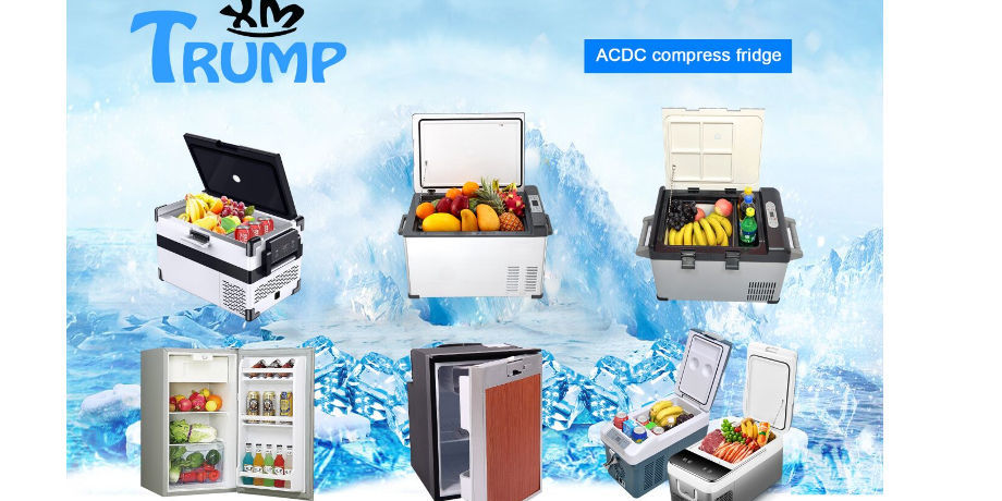 China Mini car fridge Thermo electric refrigerator on Global Sources ...