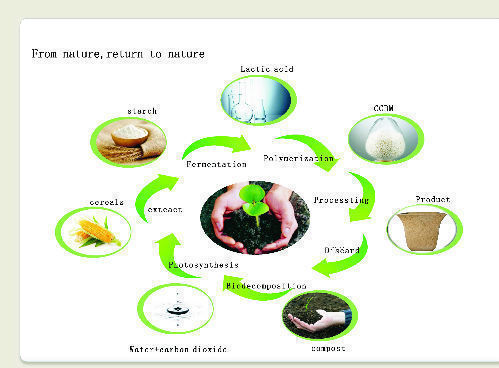 China Factory direct hot style PLA biodegradable flower pot on Global ...