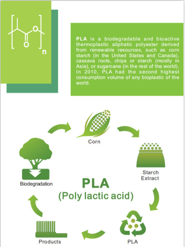 PLA toothbrush with bio-based bristle biodegradable sugarcane and eco ...