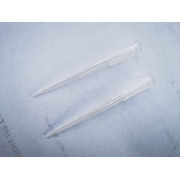 China Universal pipette tip on Global Sources,sample tube